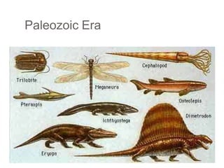 Geologic timeline of the history of life on earth | PPTX