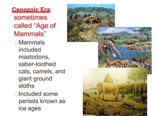 Geologic timeline of the history of life on earth | PPTX