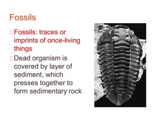 Geologic timeline of the history of life on earth | PPTX