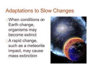 Geologic timeline of the history of life on earth | PPTX