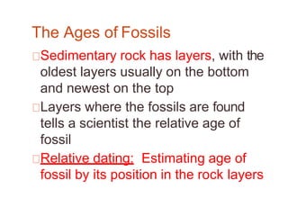 Geologic timeline of the history of life on earth | PPTX