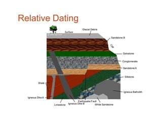 Geologic timeline of the history of life on earth | PPTX | Geography ...