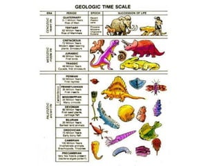 Geologic timeline of the history of life on earth | PPTX