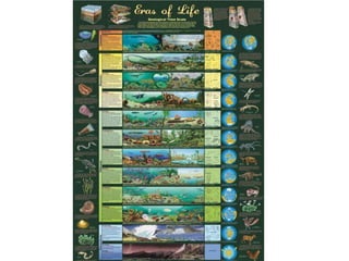 Geologic timeline of the history of life on earth | PPTX
