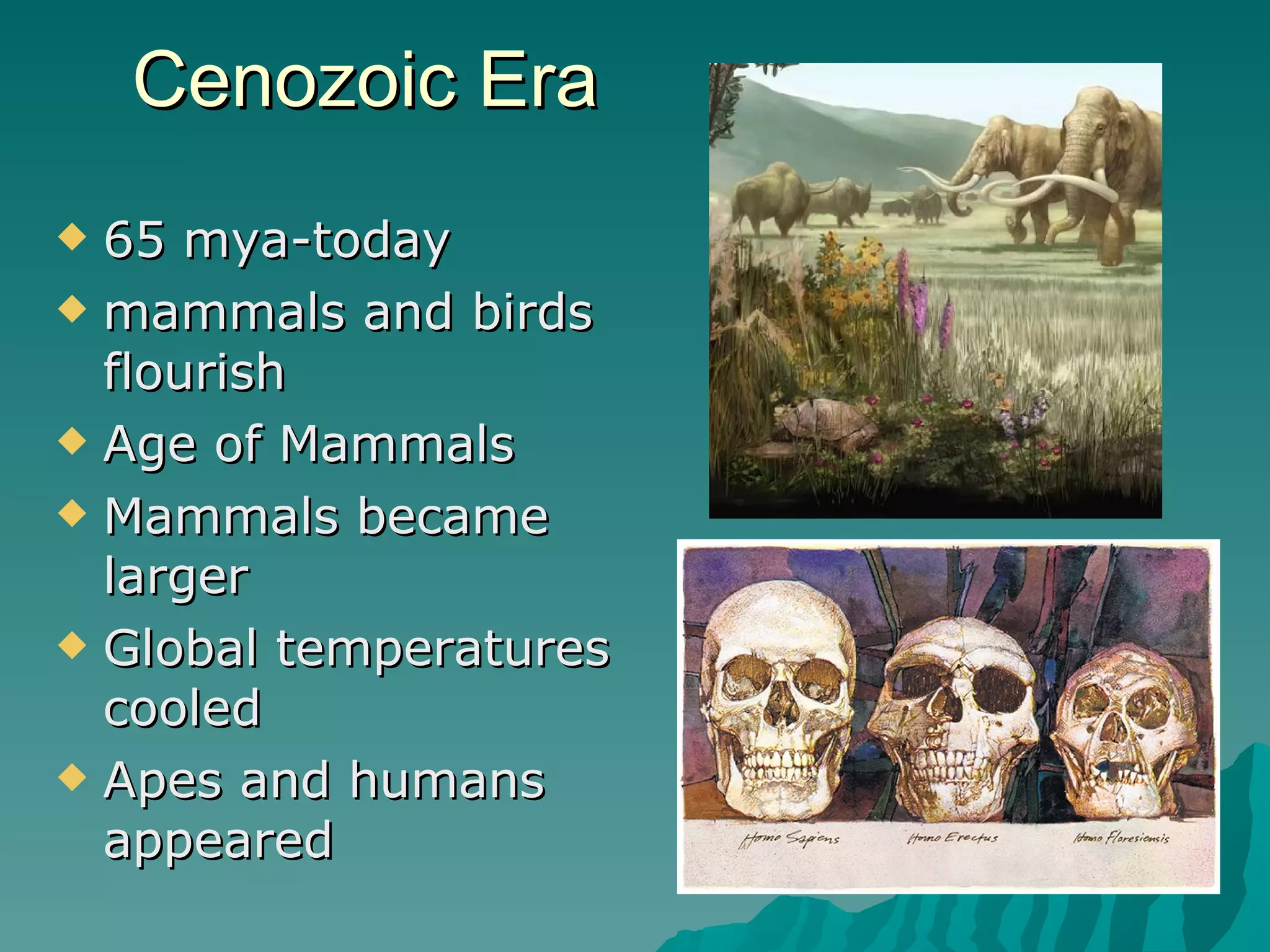 Geologic time notes | PPT