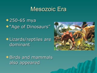 Geologic time notes | PPT