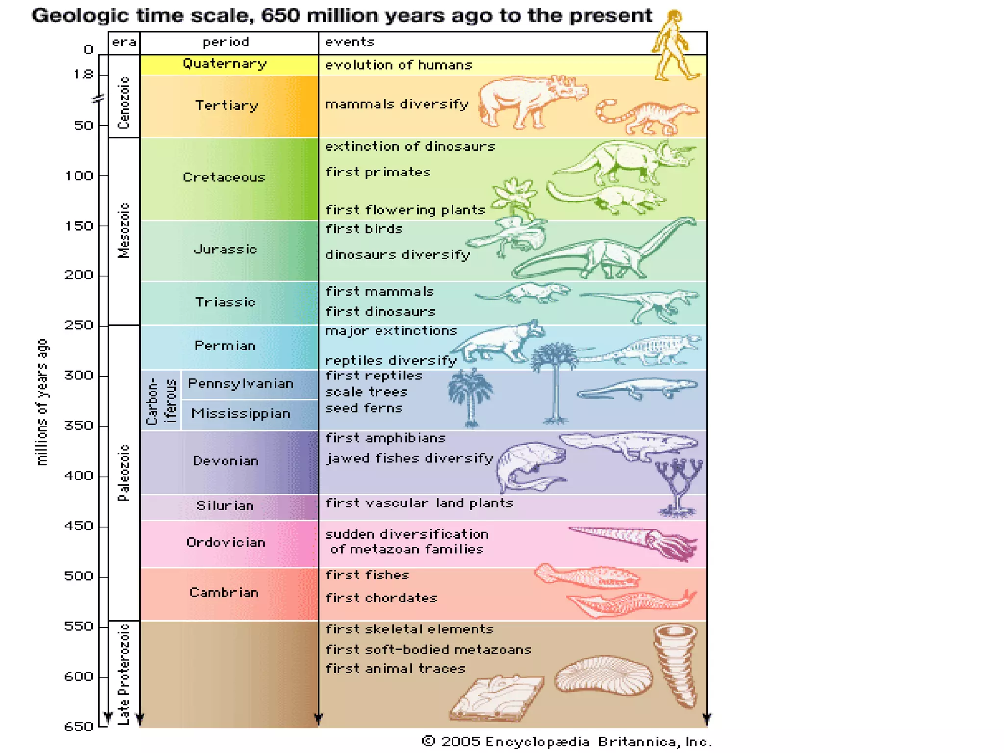 Geologic time scale 1 | PPT | Geology | Science