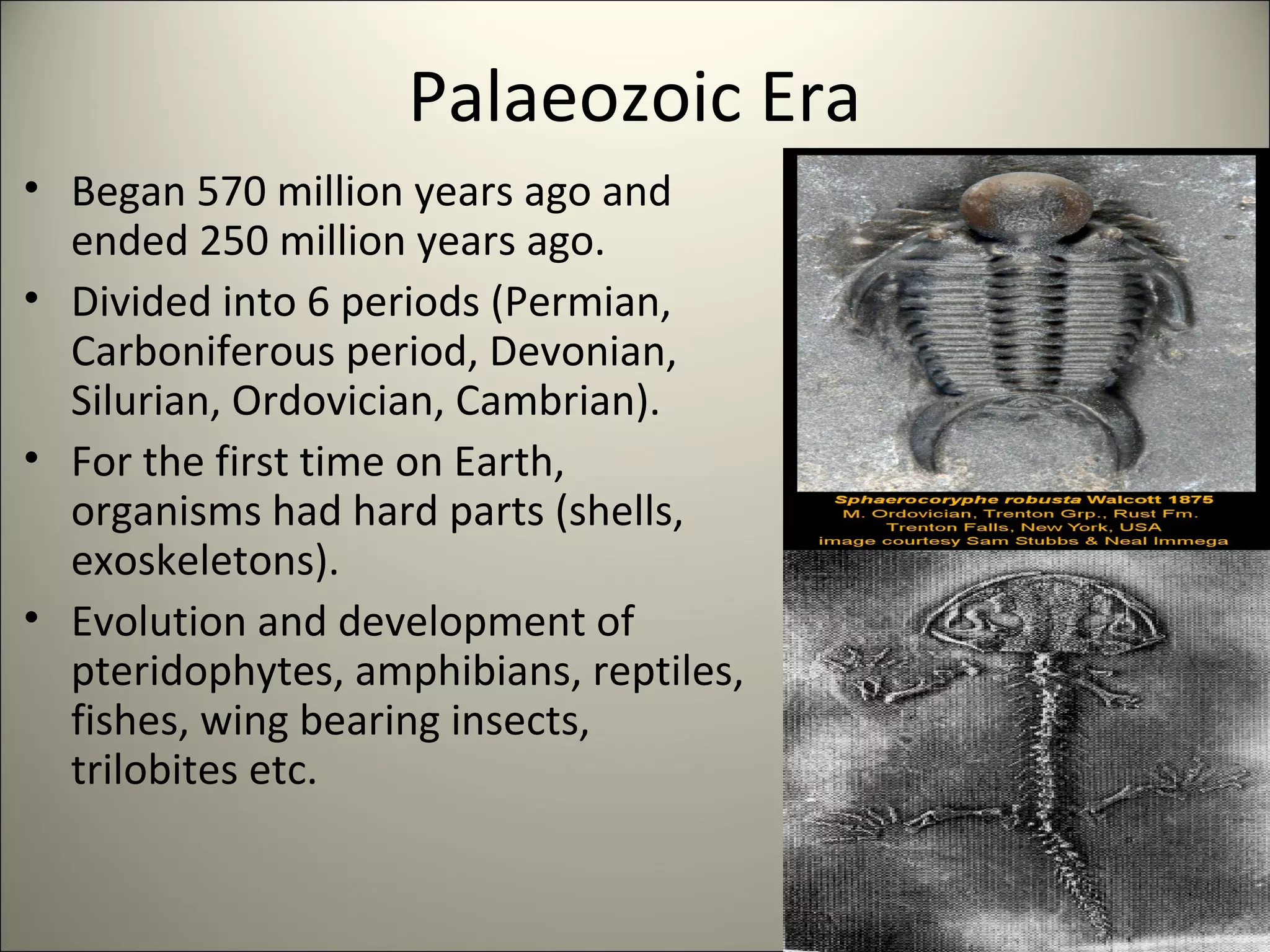 Geological Time Scale | PPT