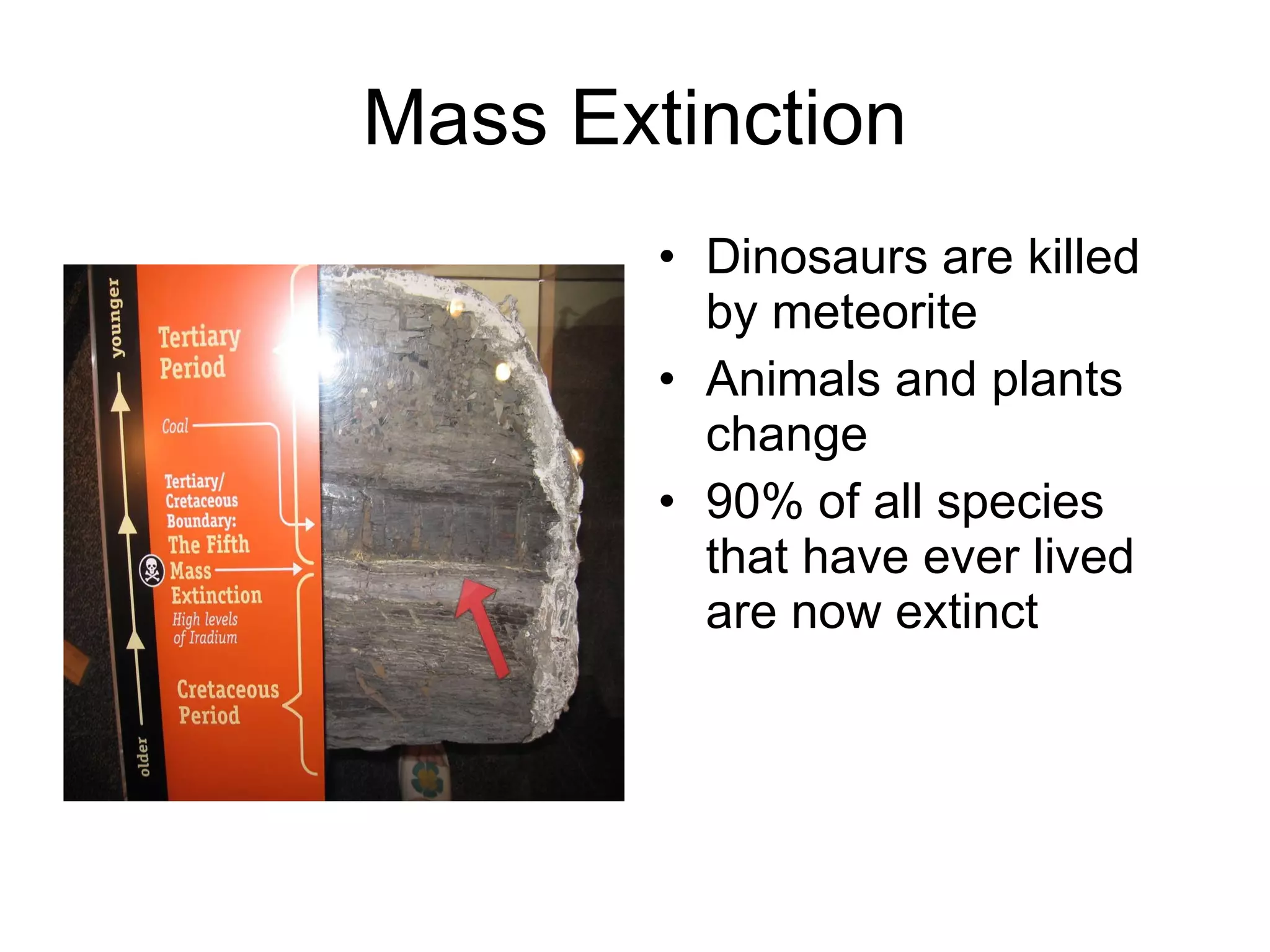 Geologic time scale | PPT