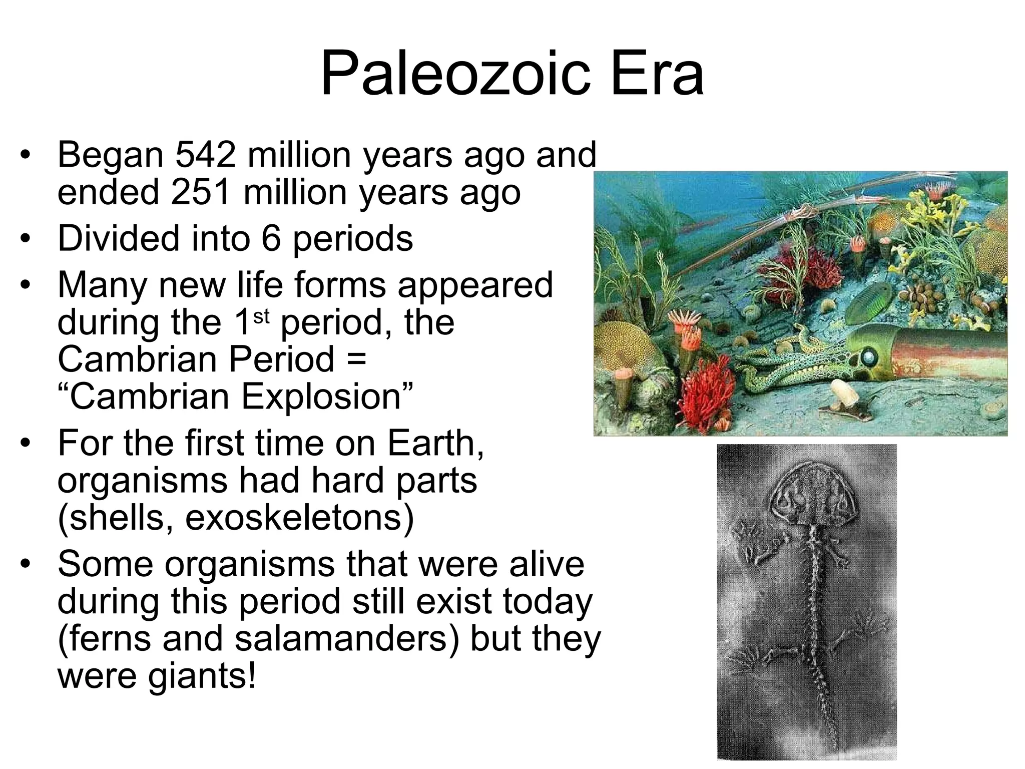 Geologic time scale | PPT