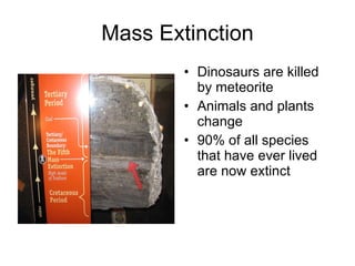 Geologic time scale | PPT