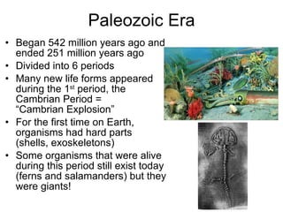 Geologic time scale | PPT