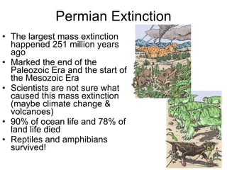 Geologic time scale | PPT