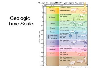 Geologic time scale | PPT