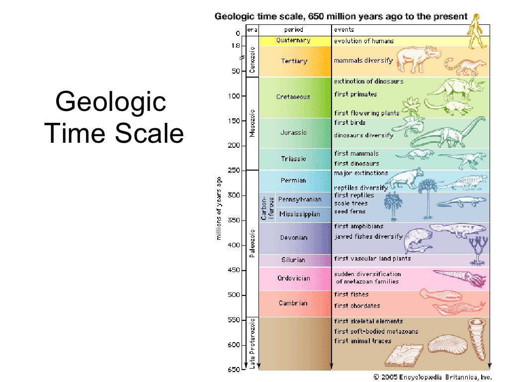 Geologic time scale
