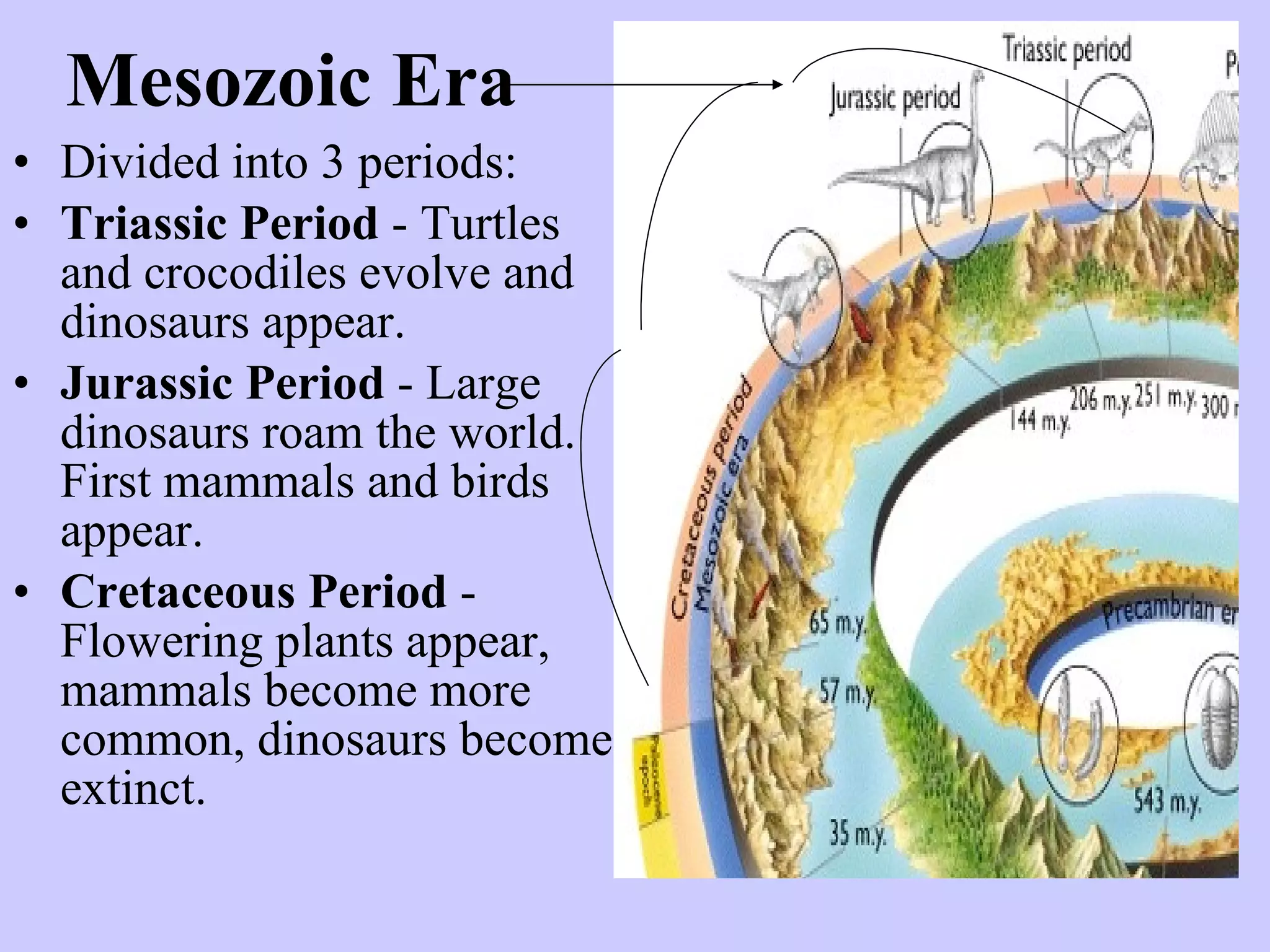 Geologic time scale | PPT