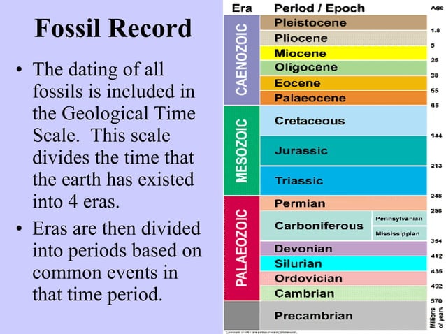 Geologic time scale | PPT