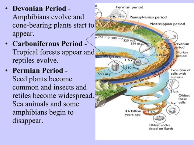 Geologic time scale | PPT