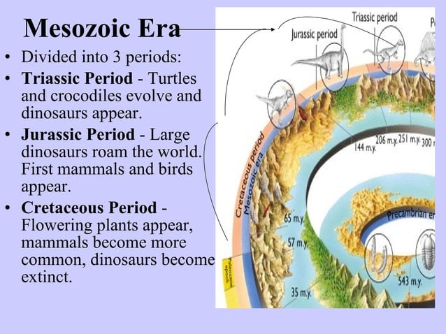 Geologic time scale | PPT