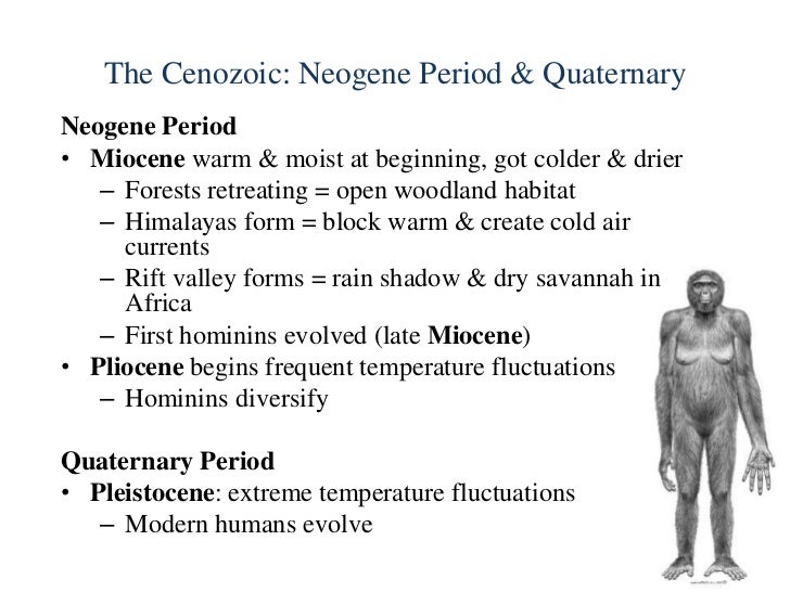 Geologic time scale