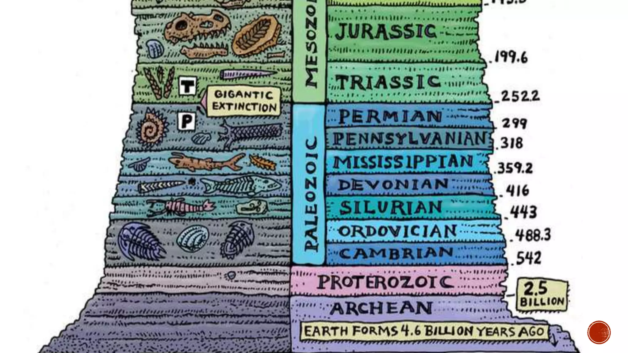 The Geologic Time Scale (Chronological Order) | PPTX
