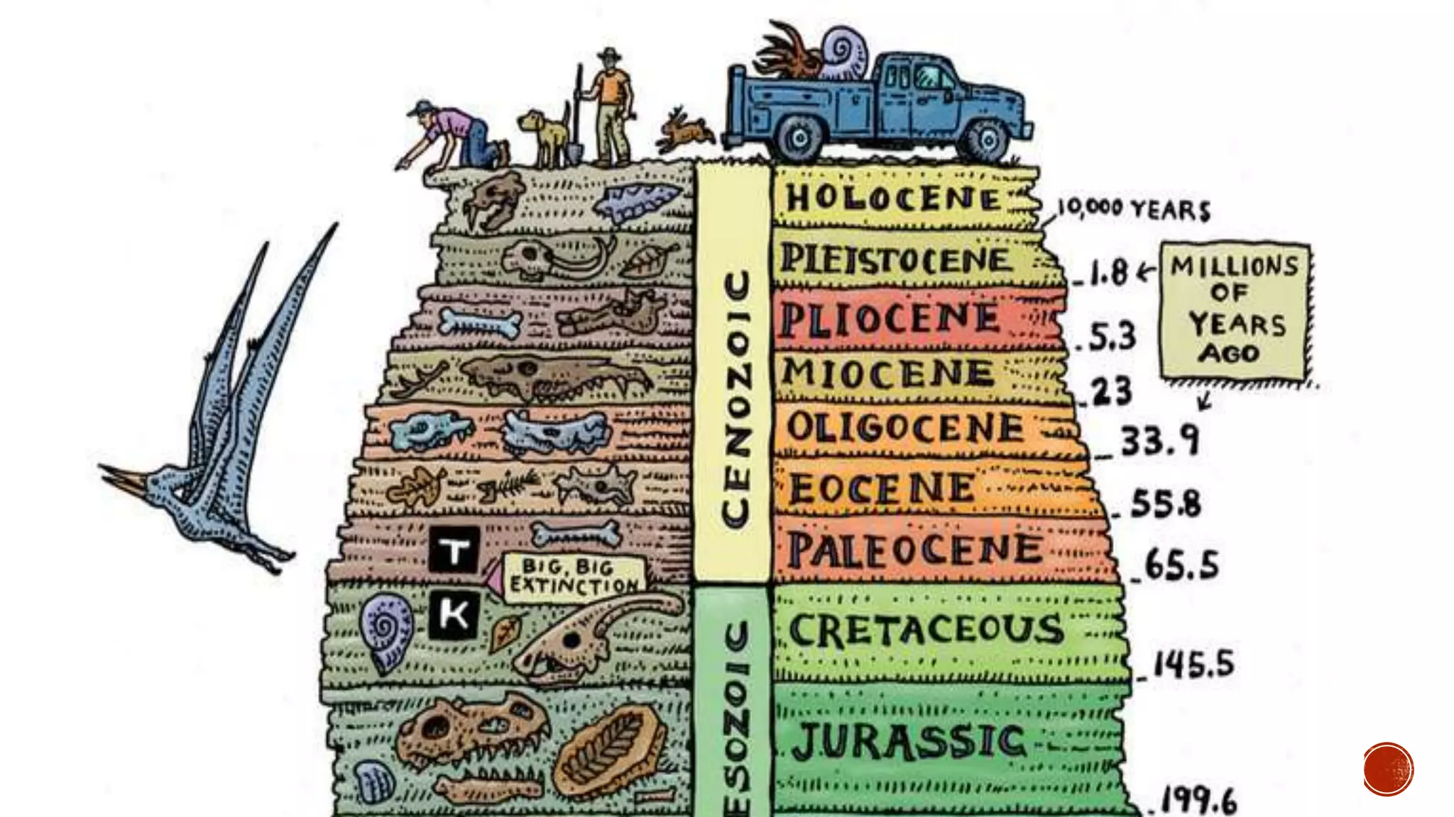 The Geologic Time Scale (Chronological Order) | PPTX