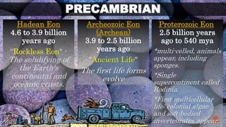 The Geologic Time Scale (Chronological Order) | PPTX