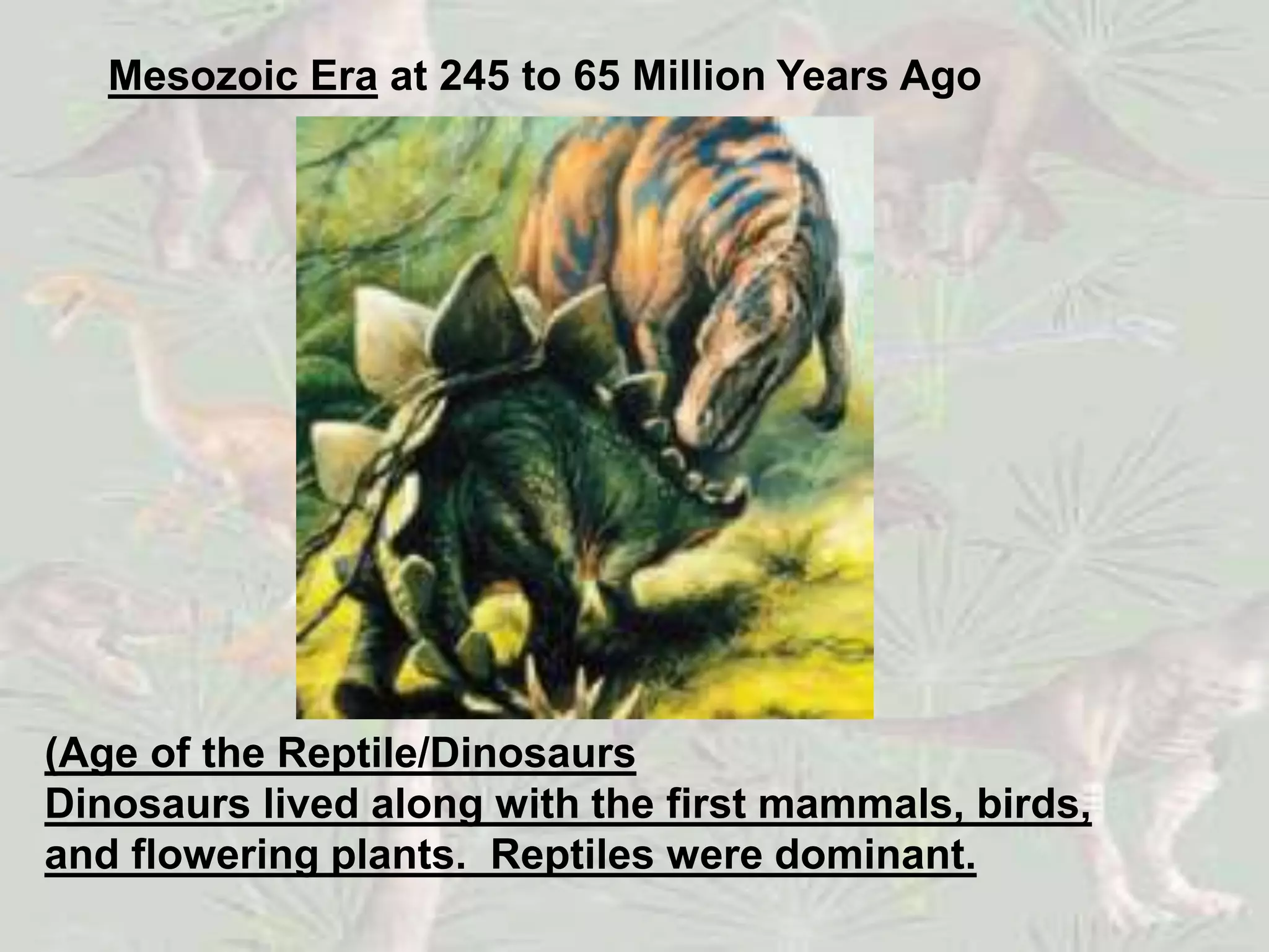 Geologic Time Scale.ppt