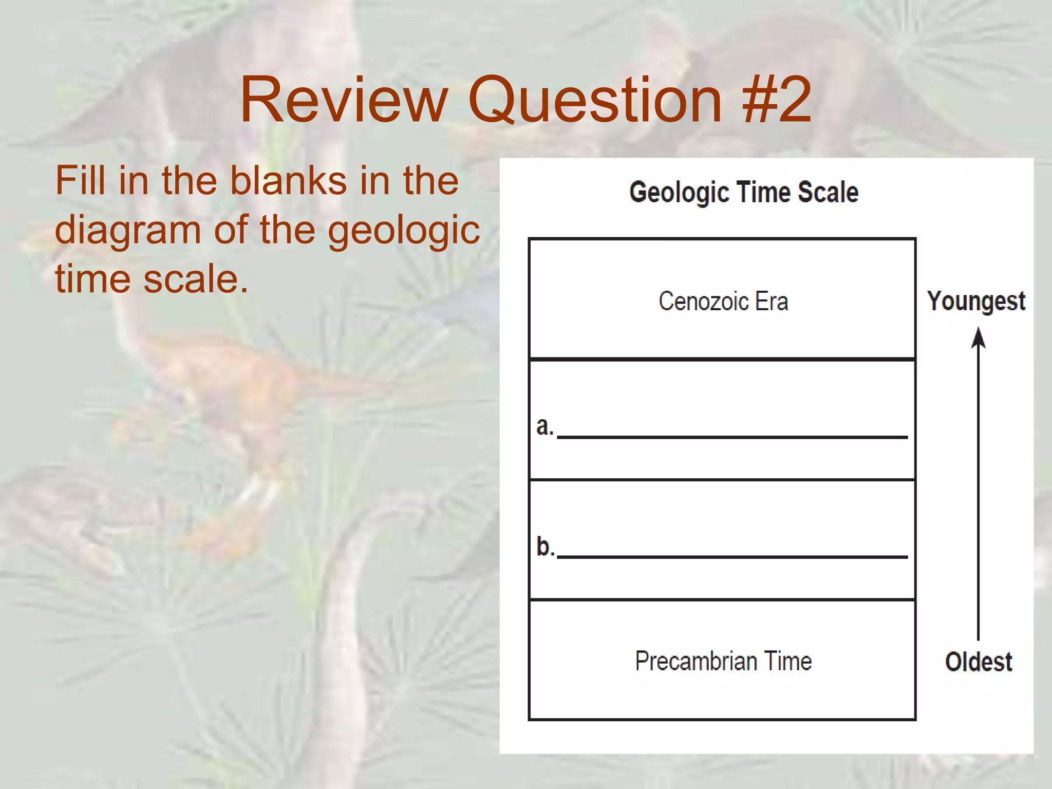 Geologic Time Scale.ppt