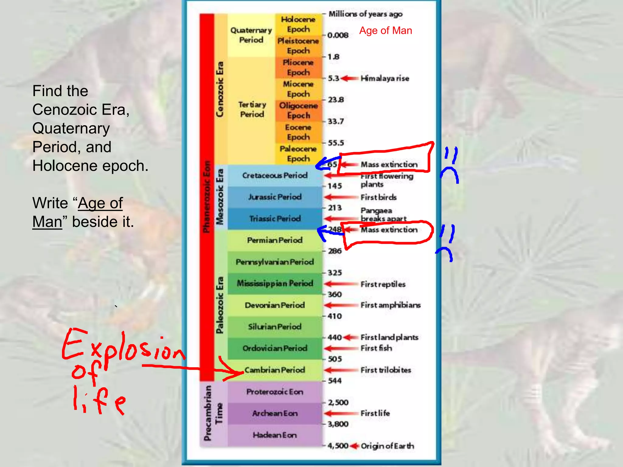 Geologic Time Scale.ppt | Geology | Science