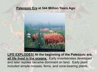 Geologic Time Scale.ppt | Geology | Science