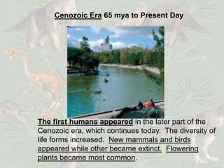 Geologic Time Scale.ppt | Geology | Science