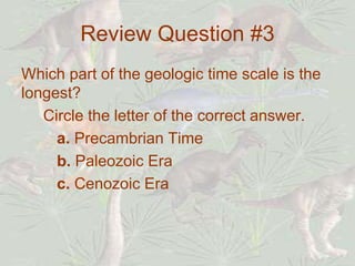 Geologic Time Scale.ppt | Geology | Science