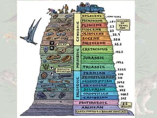 Geologic Time Scale.ppt | Geology | Science