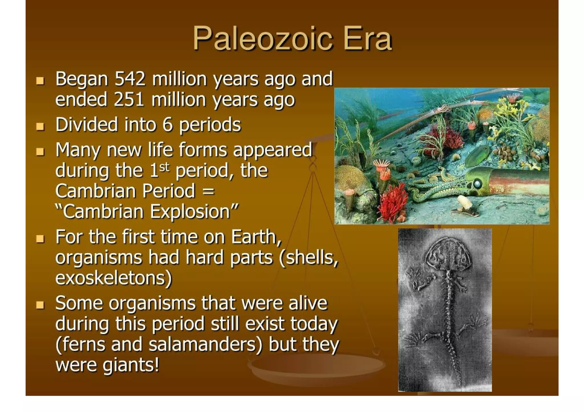 Geologic Time Scale Ppt