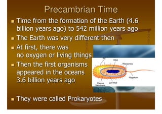 Geologic Time Scale | PPT