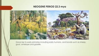 EARTH AND LIFE SCIENCE_GEOLOGIC TIME SCALE.pdf