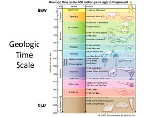 Geologic time scale_1 | PPT