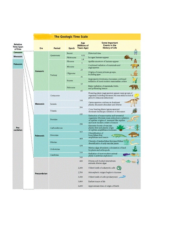 Geologic Time Scale Activity Sheet for SHS | PDF | Geology | Science