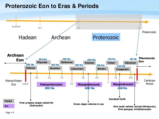 Geologic timescale and natural history of the earth