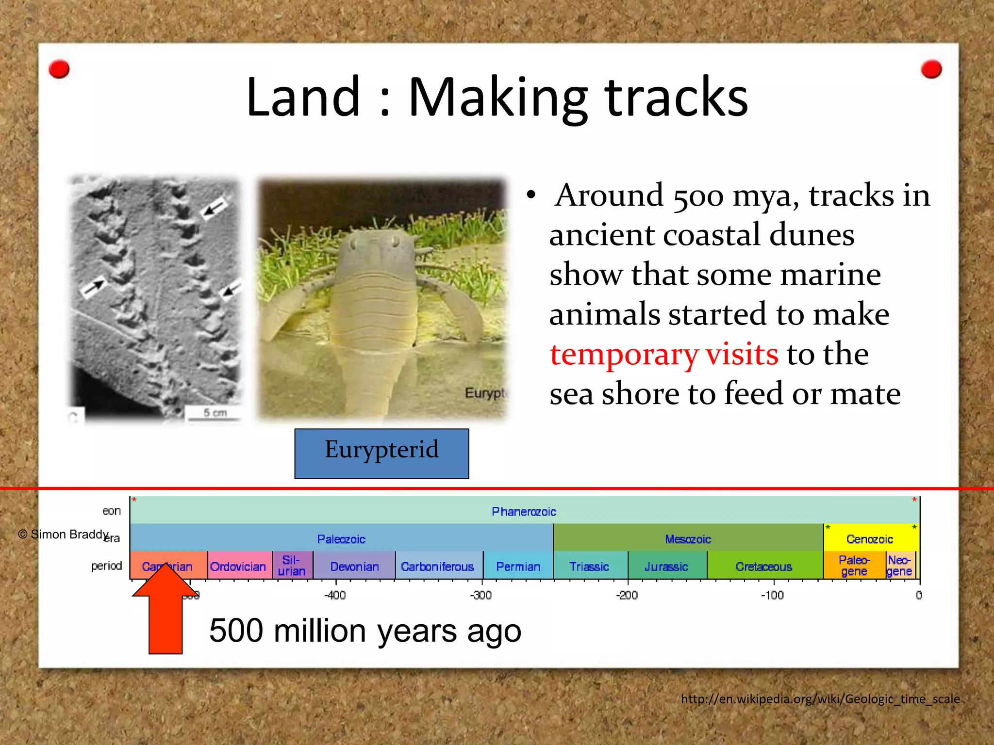 Geologic Time Scale (Group 4).pptx