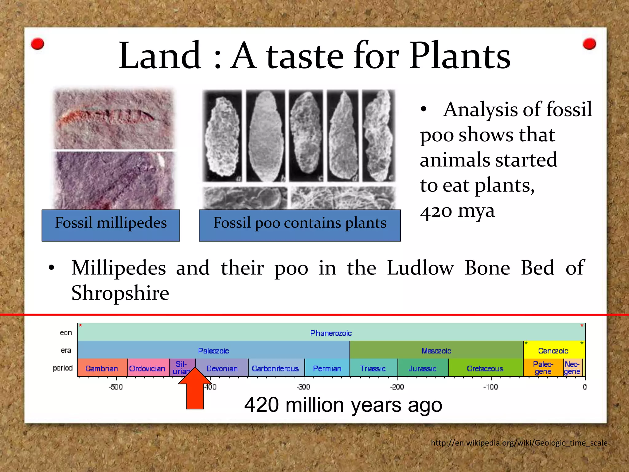 Geologic Time Scale (Group 4).pptx