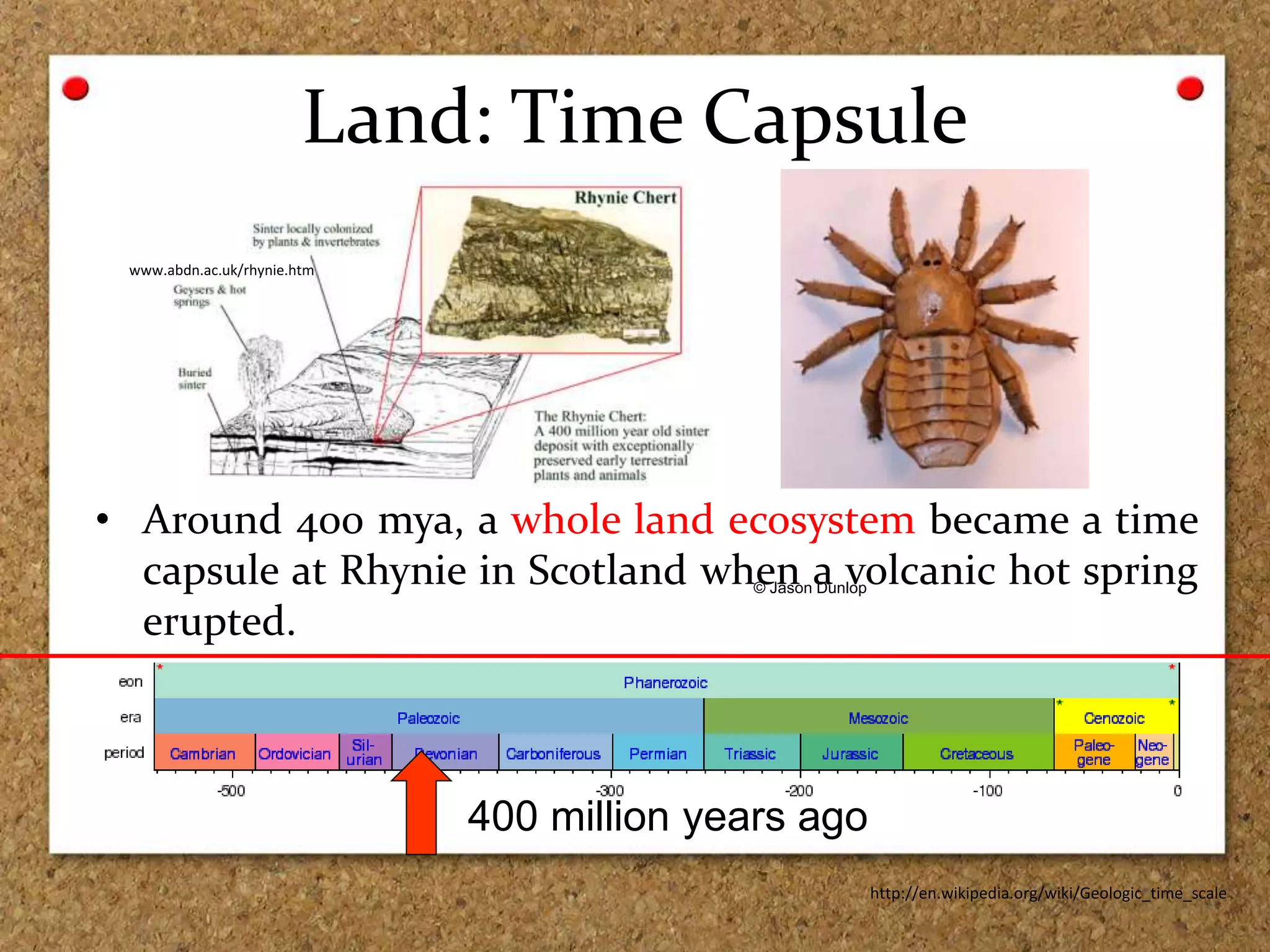 Geologic Time Scale (Group 4).pptx
