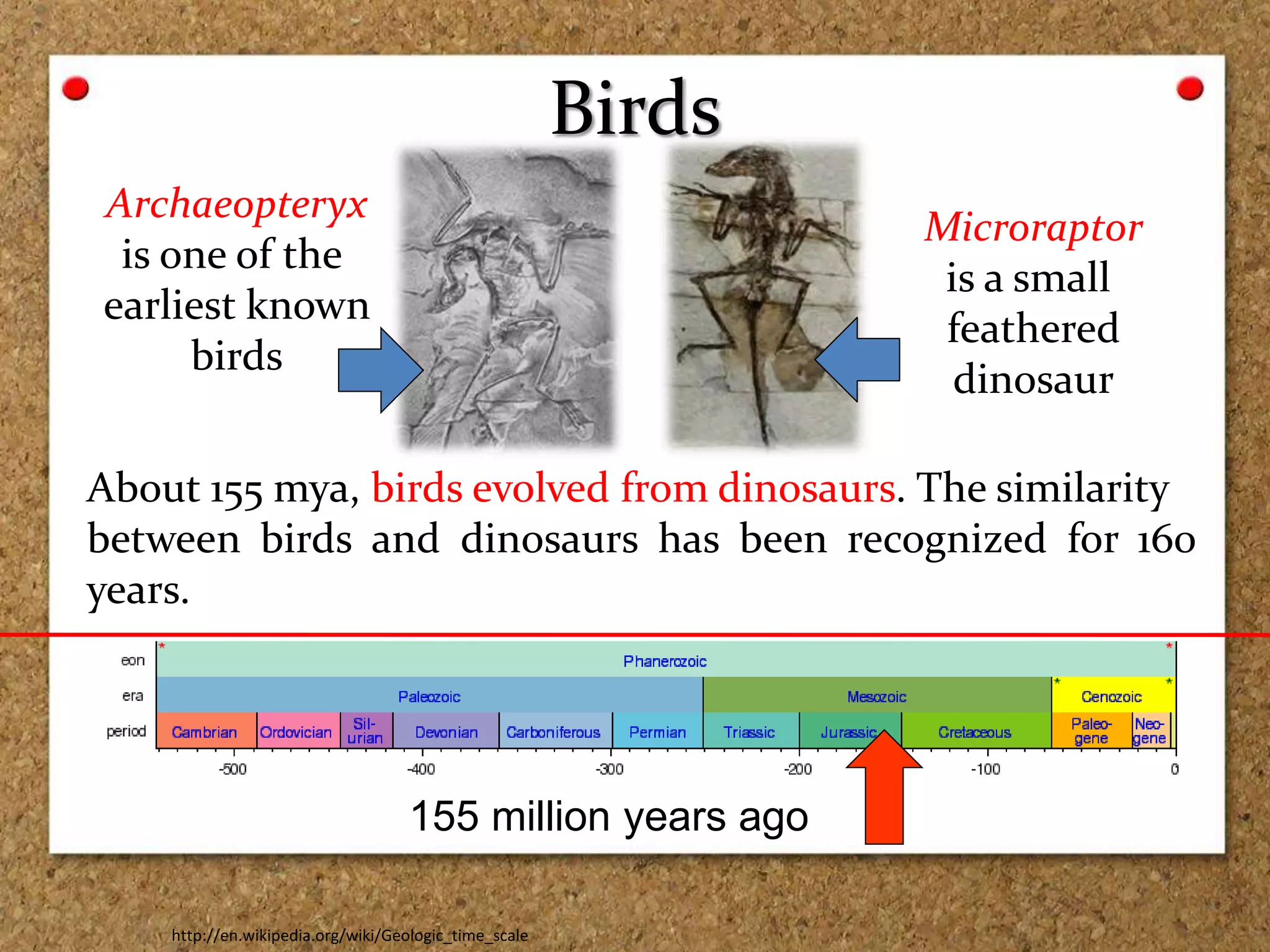 Geologic Time Scale (Group 4).pptx