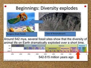Geologic Time Scale (Group 4).pptx