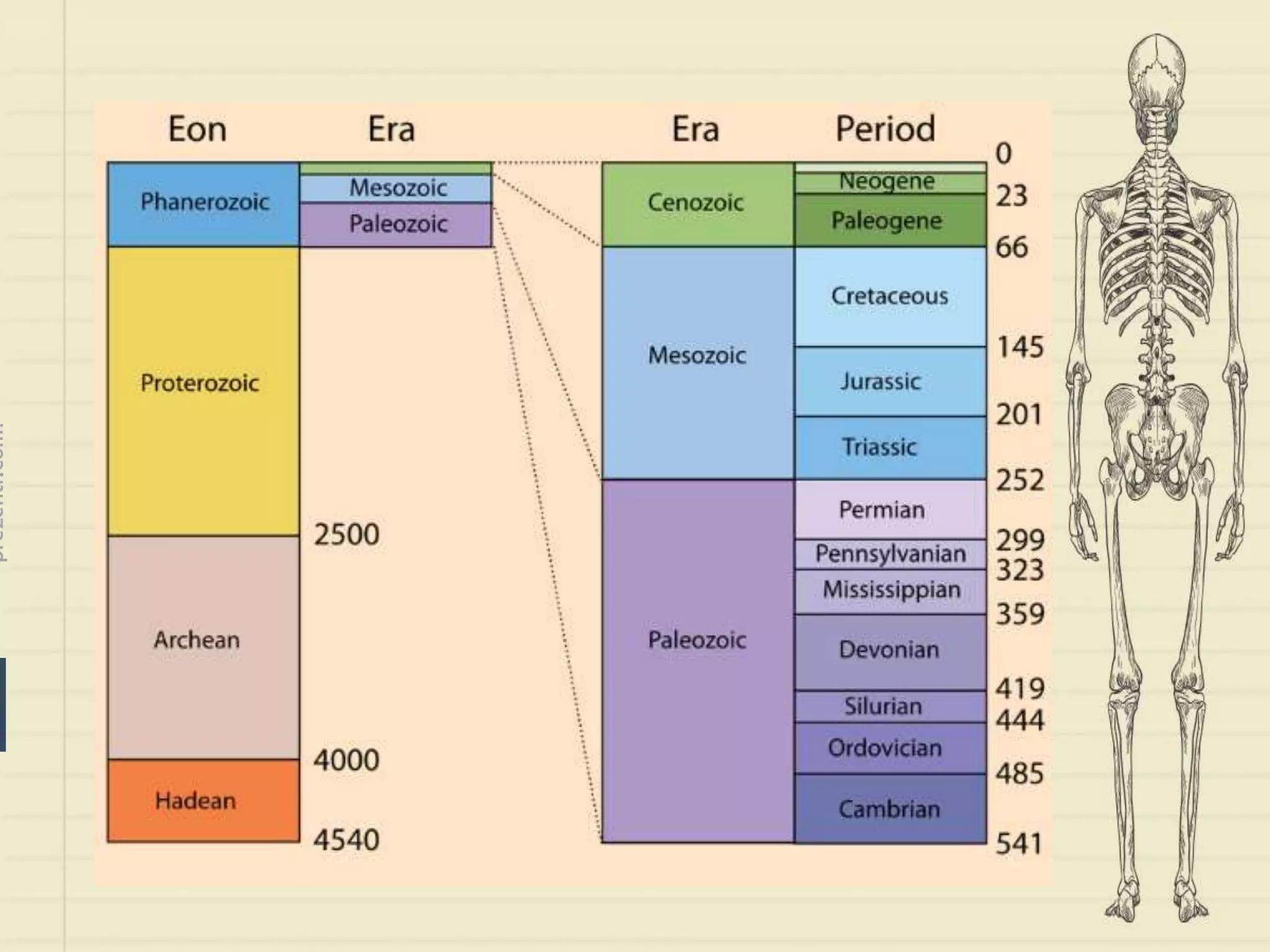 Geologic time table- GRADE 11 | PPTX