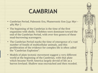 Geologic time table- GRADE 11 | PPTX