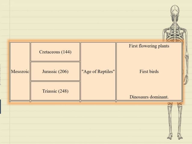 Geologic time table- GRADE 11 | PPTX | Geology | Science
