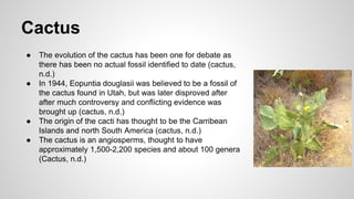 Yevin Presents the Santa Monica Mountains | PPTX | Geology | Science