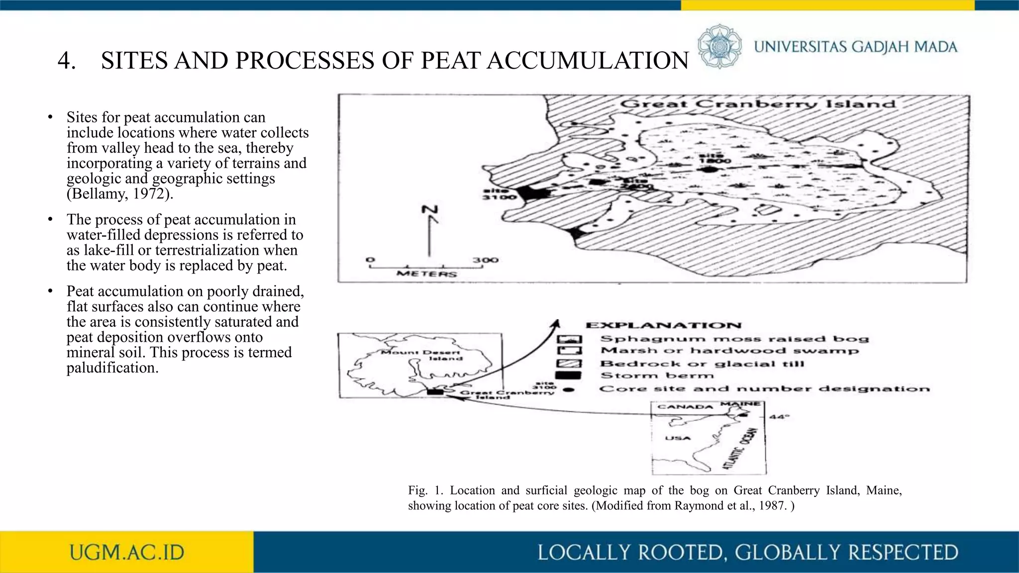 Geology, botany and chemistry of peat environment ppt | PPT